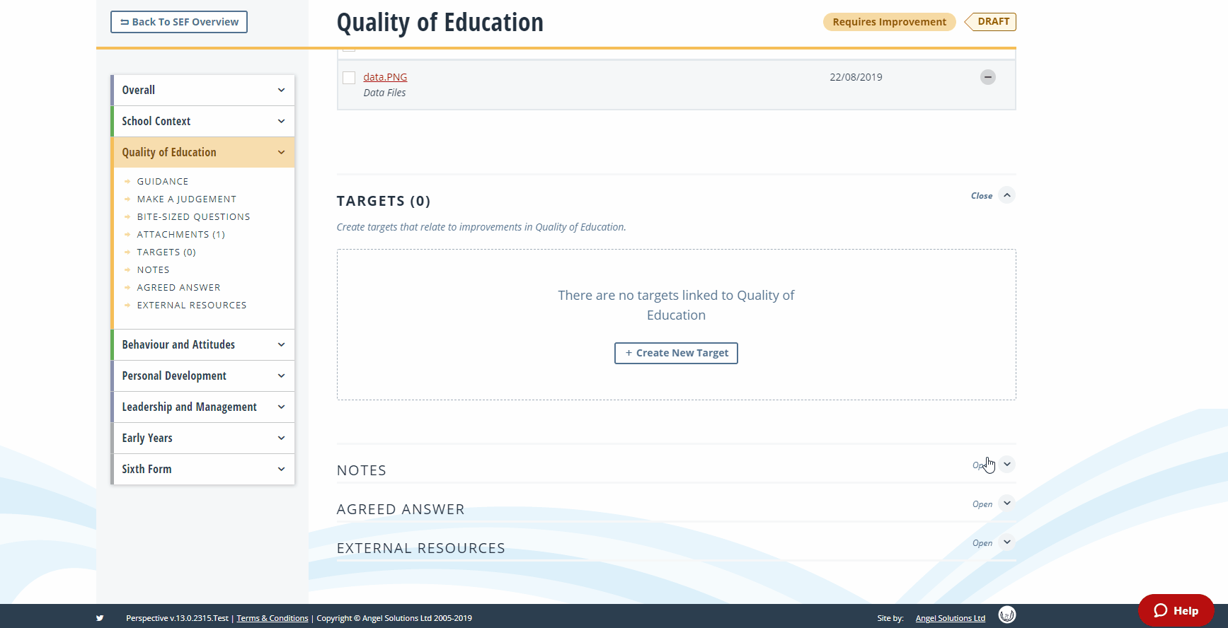Creating Your SEF – Perspective